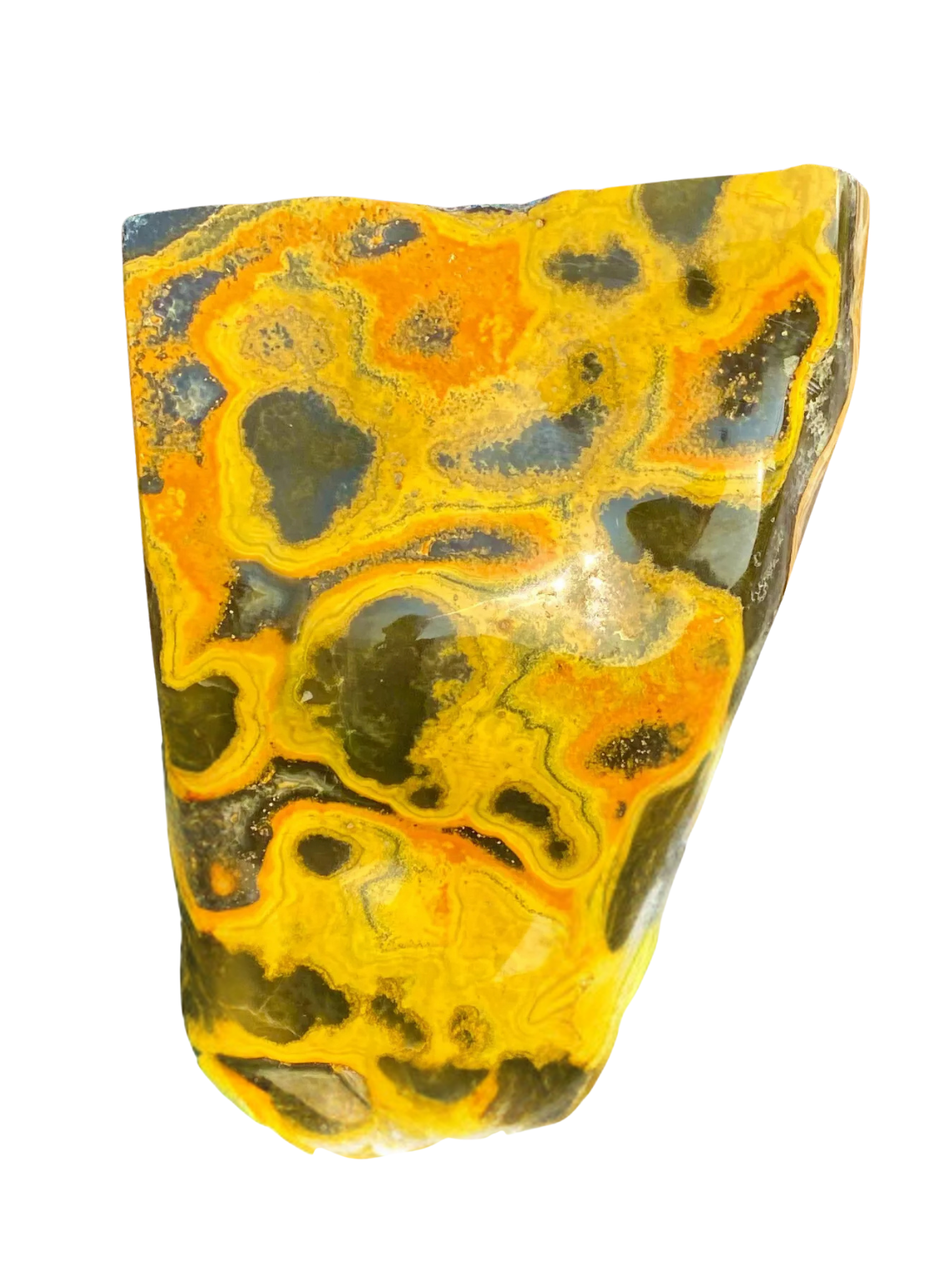 Bumblebee Jasper Meanings and Properties