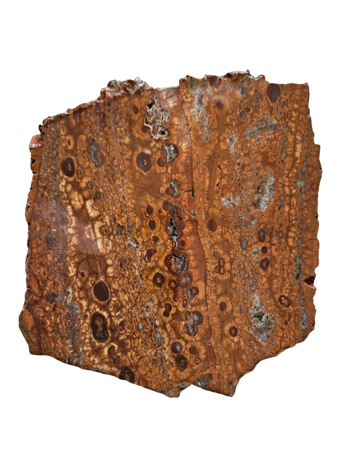 Bird’s Eye Rhyolite (guide)